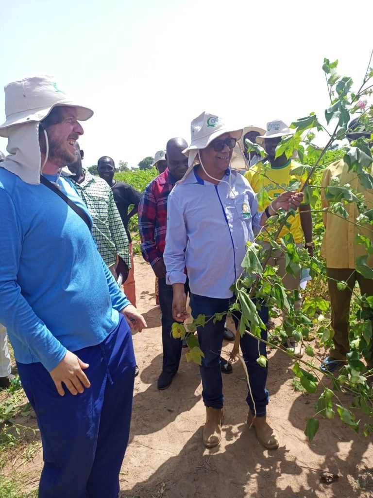 Coopération Cameroun-Brésil : La Sodecoton en tire grand bénéfice ...