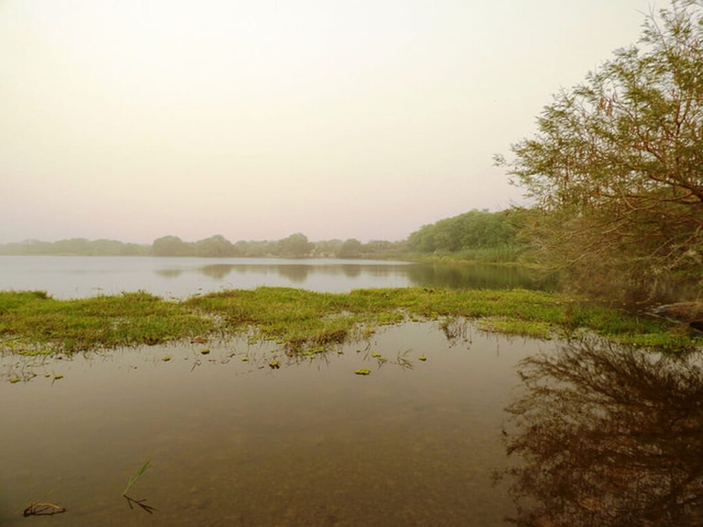 Région du Lac Tchad : La deuxième phase du développement est sollicitée ...